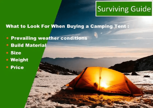 Best Extreme Weather Tents-for Camping - 2026