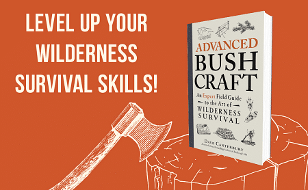 Best Advanced Bushcraft Book Review - Surviving Guide 2026